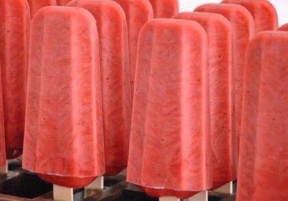Stick house ice cream mould ice lolly mould stainless steel 4X6 24pieces italian type supplier