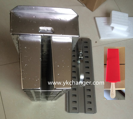 Ice pop mold Mexicana paletas formas 105ml on sales promotion 88USD per set supplier