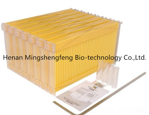 Beekeeping Supply Flow Hive 1pc Frame Replacement Auto Honey Extraction