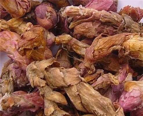 Coltsfoot flower Extract, Tussilago farfara flower Extract, Traditional Chinese medicine, Manufacturer Shaanxi Yongyuan