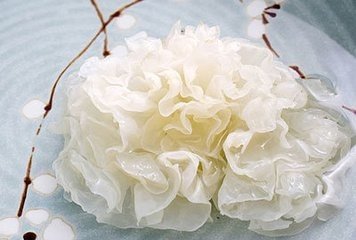 Tremella Fuciformis Extract, snow fungus Extract, Polysaccharides10%-30%UV, high quality , Manufacturer, Yongyuan Bio