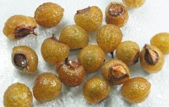 Soapnut extract, Soapnut Saponins 40%-70% UV, Ingredients for washes, Chinese Manufacturer, Shaanxi Yongyuan Bio
