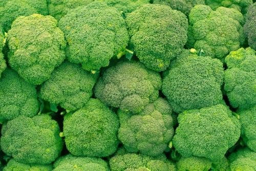 Broccoli Seed Extract Sulforaphane, брокколи, CAS No.: 142825-10-3,Sulforafan Chinese manufacturer, Shaanxi Yongyuan Bio