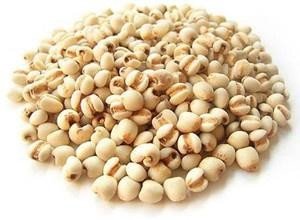 Semen Coicis Extract, Job's tear Extract, coixseed Exatract, 10:1 TLC. Chinese manufacturer, Shaanxi Yongyuan Bio