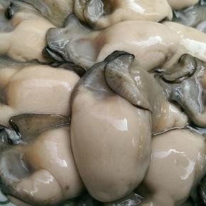Oyster Extract, Concha Ostreae Extract,  10:1 TLC, 100% Natural, Chinese manufacturer, Shaanxi Yongyuan Bio
