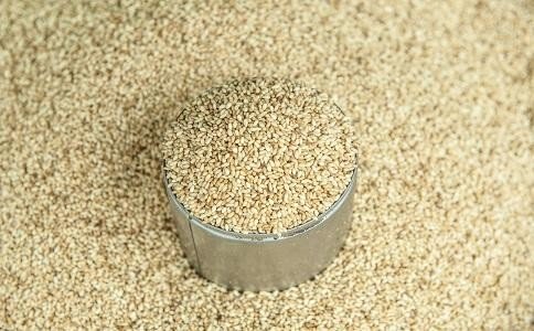 White sesame seed Extract, 10:1 TLC, Natural ingredient for pharma, cosmetic, Chinese manufacturer, Shaanxi Yongyuan Bio