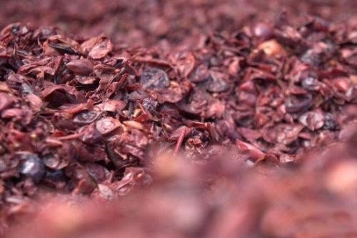 Grape skin extract, Grape peel extract, Polyphenols 30%,50%, Resveratrol 5% 10%, 100% natural, Chinese manufacturer