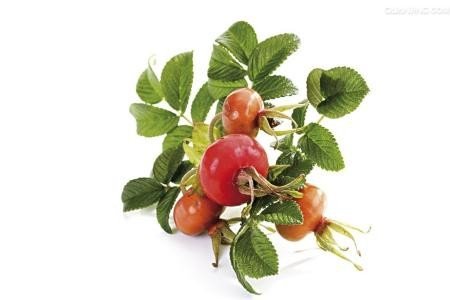 Roselle Extract Powder,5:1 TLC, Hibiscus Sabdariffa Extract, Chinese manufacturer, high quality, Shaanxi Yongyuan Bio
