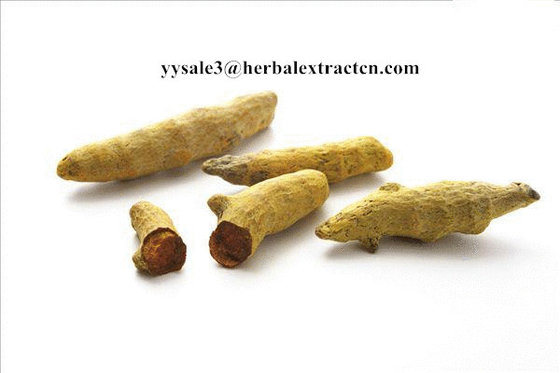 natural 65% Curcumin, CAS No.: 458-37-7, Curcuma longa Extract,Water soluble Turmeric root extract, Shaanxi Yognyuan Bio