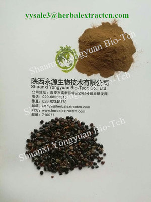 factory Oriental raisin tree Extract, 헛개나무 추출물 분말 5:1, quality assrued, Hovenia dulcis Extract, Shaanxi Yongyuan Bio