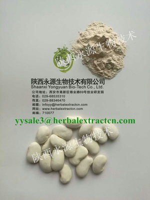 White Kidney Bean Extract, 3000 U/g α-AI Protein(α-amylase inhibitor),100% natural, factory, Shaanxi Yongyuan Bio-Tech