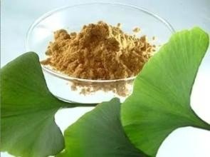 Ginkgo Biloba Extract, flavone glycosides 24%, Ginkgolides 6%, Dry Extract Ginkgo Biloba, Shaanxi Yongyuan Bio-Tech