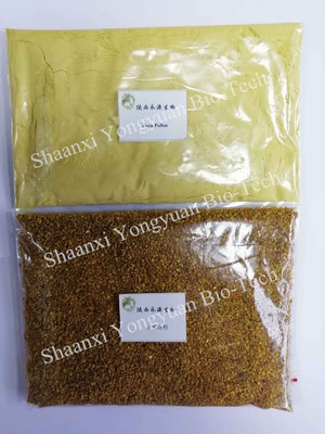 Corn Pollen, Sorghum flower Pollen, 100% natural, Yellow poeder, Manufaturer, Shaanxi YongyuanBio-Tech