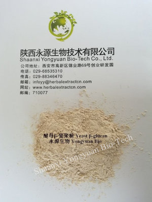 Yeast β-glucan 70% 80% HPLC, Light yellow to gray powder, Shaanxi Yongyuan Bio, High quality