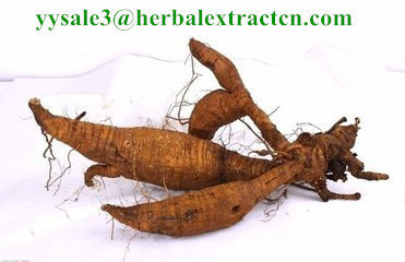 Kudzu Root extract, flavones UV, Puerarin HPLC, CAS No.: 3681-99-0, Pueraria extract, Shaanxi Yongyuan Bio