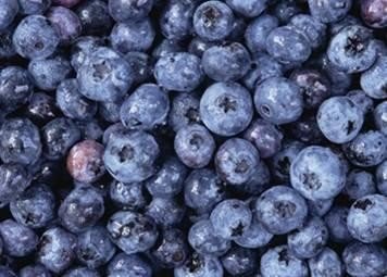 Eroupean Bilberry Extract, Extrait de myrtille européenne, Anthocyanidins, anti-âge, Shaanxi Yongyuan Bio-Tech
