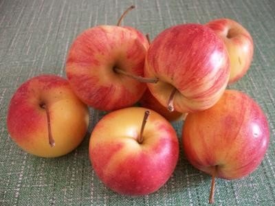 Apple Cider Vinegar Powder, 5%-10%, 사과 사이다 식초 분말，건강 식품 성분，중국 제조 업체，품질 보증, Shaanxi Yongyuan Bio