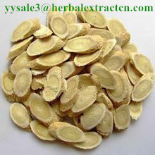 Astragalus root extract,  복사 뼈 추출물, 복사 뼈 뿌리 추출물, Chinese factory supply , Shaanxi Yongyuan Bio-Tech