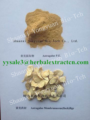 Astragalus root extract,  복사 뼈 추출물, 복사 뼈 뿌리 추출물, Chinese factory supply , Shaanxi Yongyuan Bio-Tech
