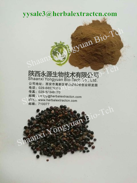 factory Oriental raisin tree Extract, 헛개나무 추출물 분말 5:1, quality assrued, Hovenia dulcis Extract, Shaanxi Yongyuan Bio