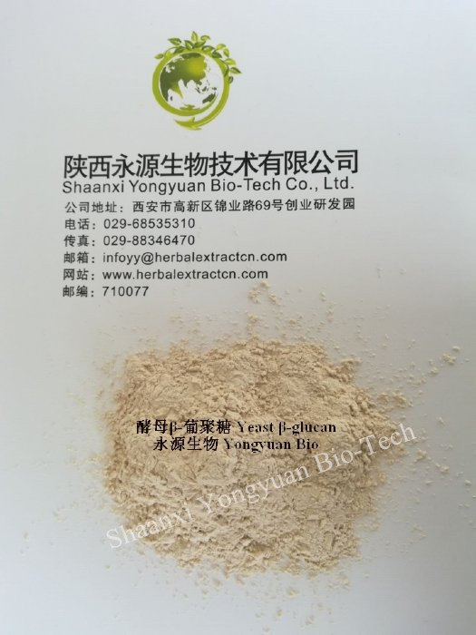 Yeast β-glucan 70% 80% HPLC, Light yellow to gray powder, Shaanxi Yongyuan Bio, High quality