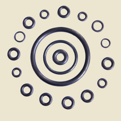 Long Service Life VMQ NBR O Rings Framework Oil Seal for Pressure Vessel , Gas Compressor