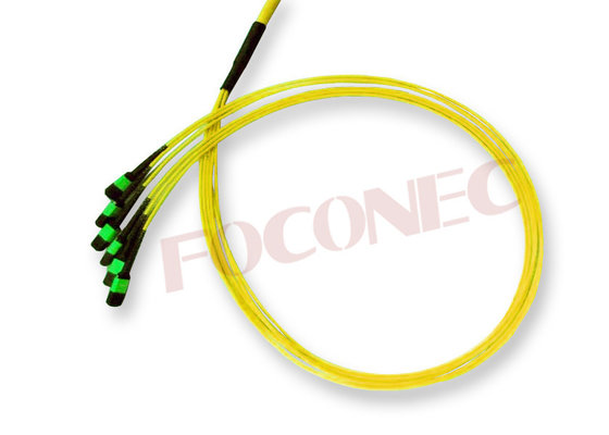 La corde de correction optique de fibre de MPO, usine Pré-a terminé l'avance de correction de tronc