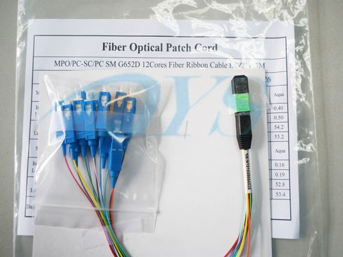 Corde de correction optique bleue de fibre de MPO FTTX avec les olives en céramique