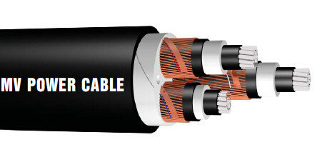 Alminum XLPE a isolé le câble à haute tension/câble 3.6KV/6KV de l'électricité
