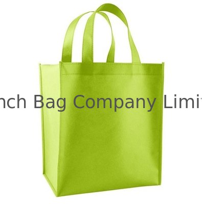 Durable Non Woven Printed Shopping Bag 90gsm Green For Supermarket