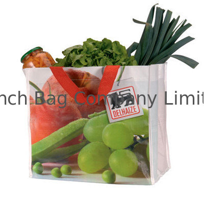 Customized PP Woven Shopping Bags With Nylon Webbing Handle reusable grocery bags