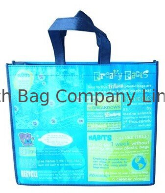 Green Color Laminated PP Woven Shopping Bag For Gift , Supermarket , Retail