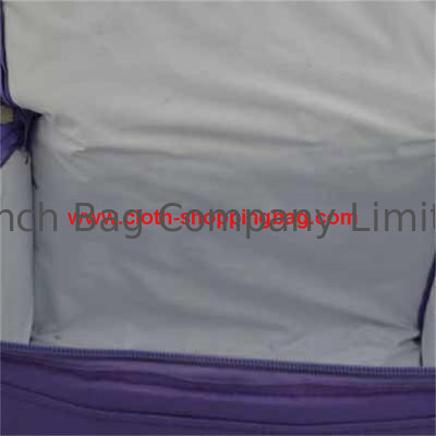 Eco friendly purple built lunch bag for women man , lunch tote bag
