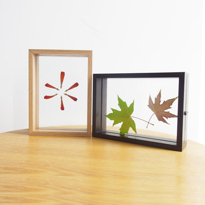 Modern Style Double Sided Glass Photo Frame Flower Plant Portrait Display Frame Holder molduras para fotos
