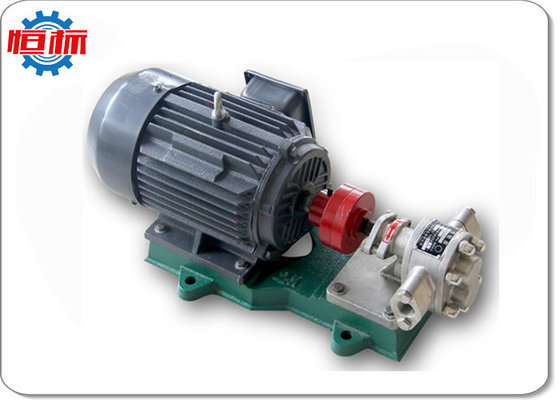 Portable Gear Pump For Oil Transfer Food Grade Engine Driven Fuel Transfer Pump