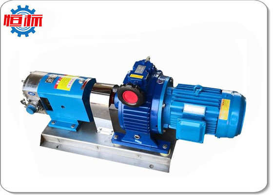 High Pressure Rotor Lobe Pump Variable Speed Box For Dosage Filling Machine