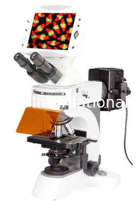 China Compound Digital LCD Fluorescence Microscope with 8 Inches TFT Screen factory