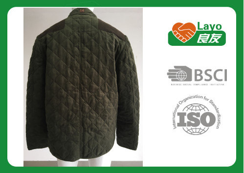 100% Polyester Warm Down Jacket Waterproof Mens Lightweight Down Jacket