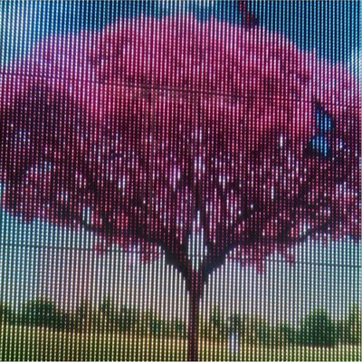 Display Commercial LED Video Screen Full Color 9000cd 384W 50000 Hours
