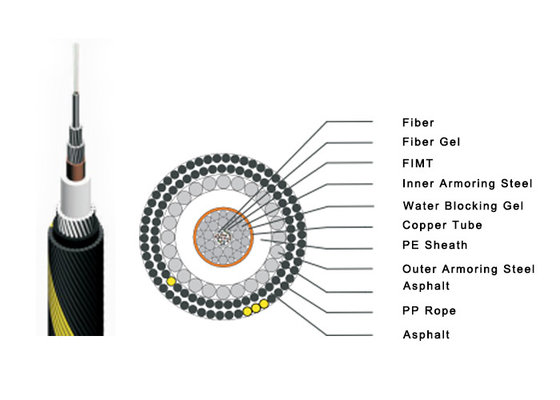 Submarine Custom Fiber Optic Cables Maximum 5000 Meters Water Depth Unrepeatered