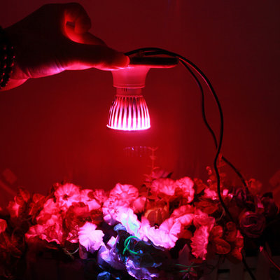 800lm 380nm - 730nm Greenhouse Flowering Led Grow Light IP44 For Indoor