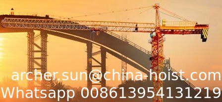 QTZ80 6010  Tower Crane jib length can be customized,with additional remote control device supplier