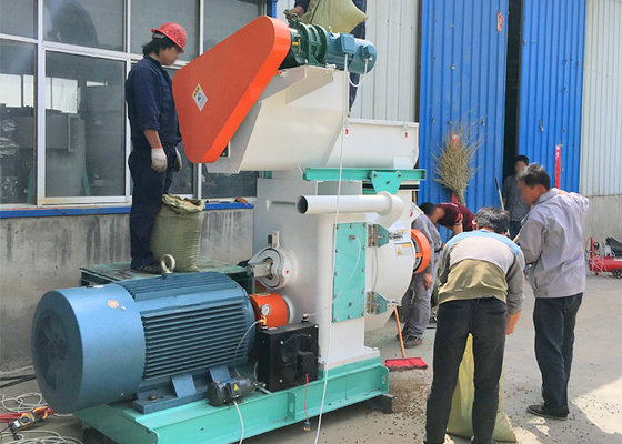 CE Certification Professional Manufacturer Straw Pellet Making Machine