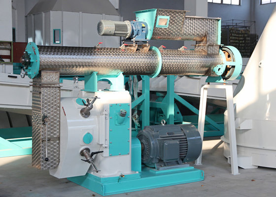 Hot Selling Alfalfa Biomass Grass Poultry Feed Ding Die Pellet Making Machine