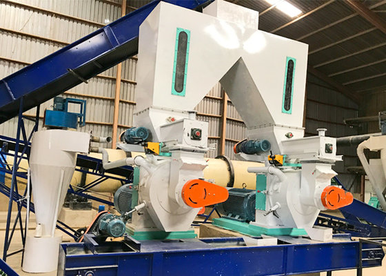Rice Husk Pelletizing 2t/h Wood Pellet Production Line
