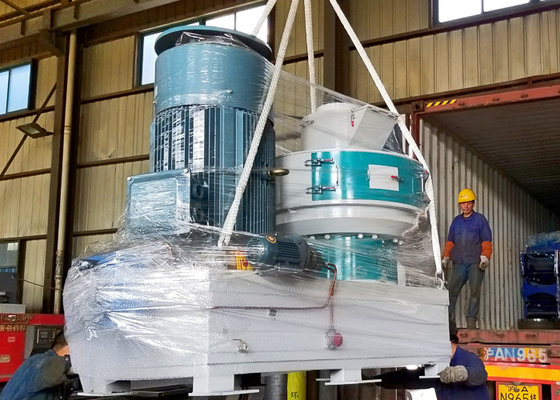 Professional Manufacturer 1-2t/Hr Palm EFB Pellet Making Machine