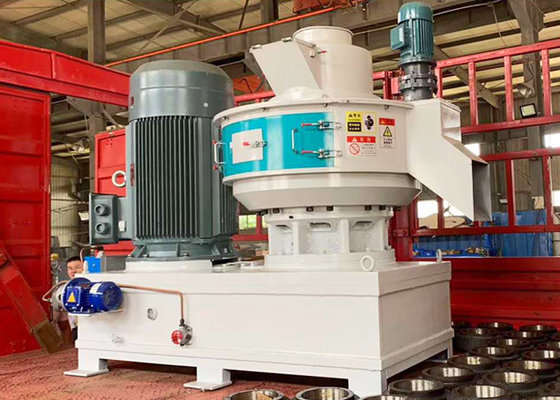 Professional 1-10 T/Hr Professional EFB Pellets Making Machine