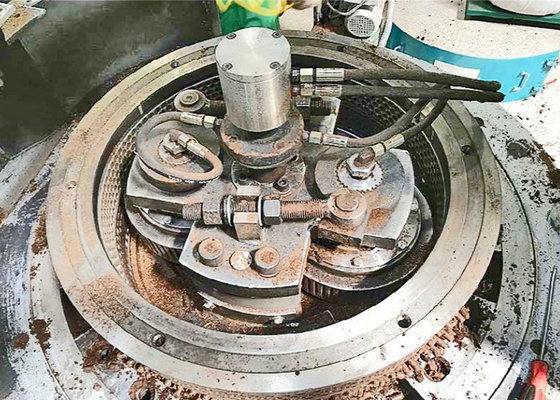 Professional 1-10 T/Hr Professional EFB Pellets Making Machine