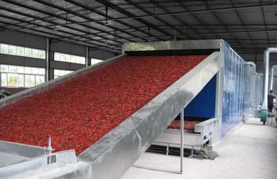 Red Chilli Pepper 10000kg/H Industrial Food Drying Machine