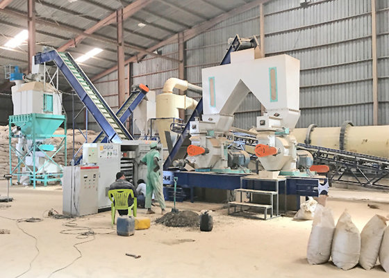 EN DIN A Plus 1 Ton 10 Ton Per Hour Complete Wood Pellet Plant